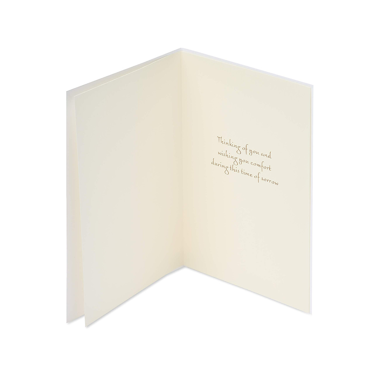 Papyrus Sympathy Card (Wishing You Comfort)