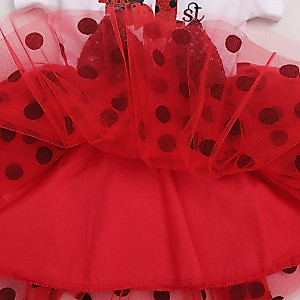 It’s My 1st/2nd Birthday Outfit Toddler Baby Girl ONE Party Tutu Dress for Kids Half/First Onesie Crown Infant Skirt Sets for Photo Props Costume Ladybug-My 1st Birthday 1Y
