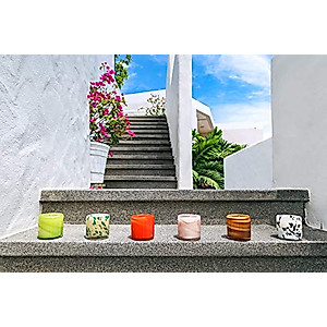 Lapule Luxury Wood Scented Candle in Handblown Decorative Glass Jar | Long Burning Aromatherapy Soy Wax Candles with Natural Fragrance Essential Oils | for Men Gifts | Home and Bath Decor