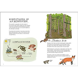 Wildlife Anatomy: The Curious Lives & Features of Wild Animals around the World