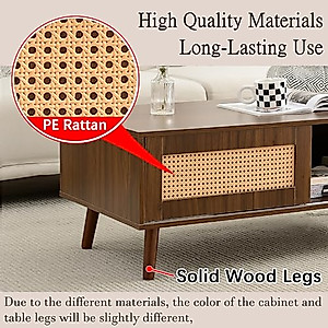 Ganooly Mid Century Modern Coffee Table with Storage, 43.3 Inch Rectangle Wooden Accent Center Table with Sliding PE Rattan Woven Door Panel and Solid Wood Legs, Suitable for Living Room, Apartment