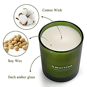 2 Pack Eucalyptus Candles, Candles for Home Scented, 11.3 OZ Longlast 65-70 Hours Natural Soy Candles Come in a Beautiful Gift Box, Candles Gifts for Women, Family, Friends （Eucalyptus & Mint）