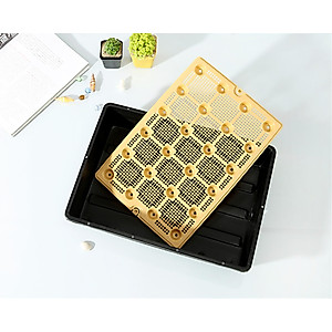 Lil Gnomies Propagator with Humidity Dome Durable Seed Tray Germinating Cutting Clone & Plant Propagation Kit (Propagator+24LitePot)