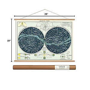 Cavallini Papers Vintage Style Decorative Poster & Hanger Kit 28 x 20, 28" x 20"