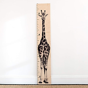 Headwaters Studio Animals Growth Chart for Kids - Baby Height Chart Height Tracker Kids Wooden Growth Chart for Wall Grow Chart Height Chart for Kids Safari Nursery, Tall Giraffe-46 x75 x.25