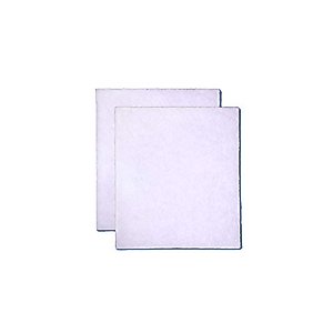 OdorFree Washable Filters for Ozone Generators- Regular (2-Pack)