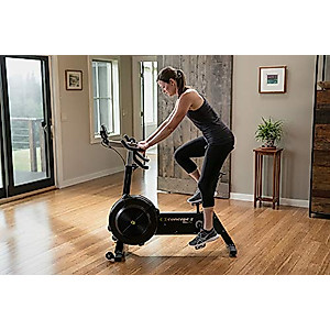 Concept2 BikeErg 2900 Stationary Exercise Bike | PM5 Monitor, Adjustable Air Resistance for Exercise, Conditioning and Strength Training | Commercial and Home Use