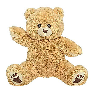 Record Your Own Plush 8 Inch Stuffed Brown Bear - Ready 2 Love in a Few Easy Steps