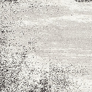 SAFAVIEH Adirondack Collection 8' x 10' Silver / Multi ADR112G Modern Abstract Non-Shedding Living Room Bedroom Dining Home Office Area Rug