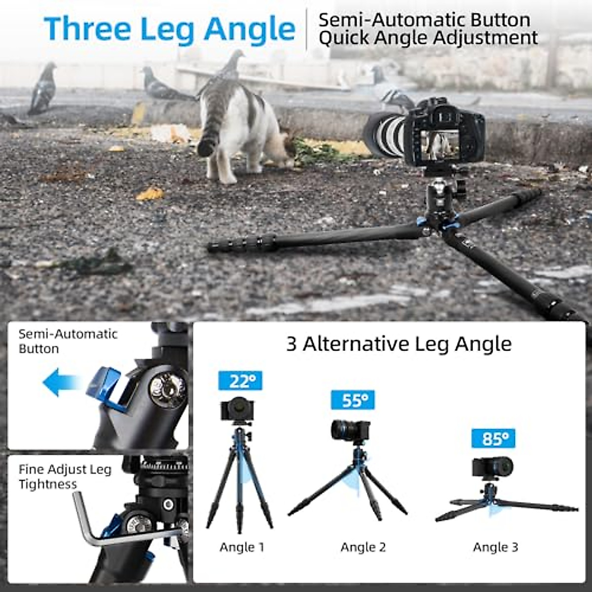 SIRUI 50″ Carbon Fiber Travel Tripod with 360° Ballhead B-00K, Lightweight Compact Professional Tripod for Cameras, 5 Sections, Quick Release Plate, Weight 2lbs, Loads 13.2lbs/6kg