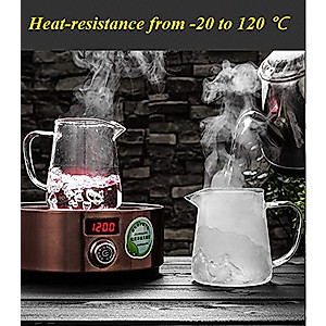 Mini Size Glass Teapot Tea Kettle-with Stainless Steel Removable Infuser for Blooming Tea & Loose Leaf Tea, Microwave & Stovetop Safe, 550ML/18oz (S-550)