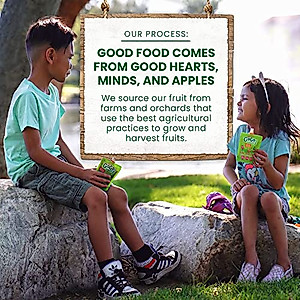 GoGo squeeZ Fruit on the Go, Apple Apple, 3.2 oz (Pack of 18), Unsweetened Fruit Snacks for Kids, Gluten Free, Nut and Dairy Free, Recloseable Cap, BPA Free Pouches