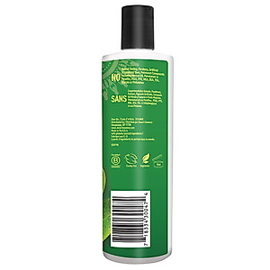 Desert Essence Tea Tree Replenishing Conditioner - 12.7 Fl Ounce - Peppermint & Yucca - Eucalyptus Oil - Vitamin E - Keratin - Murumuru Butter For Dull, Damaged Hair - Reduces Hair Breakage & Flaking