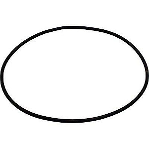 Aladdin Equipment Co. Sta-Rite Posi-Flo Filter Lid O-Ring O-419 31935-0001