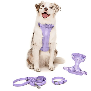 Dog Harness and Leash Set | BearBone No Pull Dog Harness and Waterproof Dog Collar and Leash Set | Heavy Duty Dog Harness, Leash and Collar | Medium Dog Harness, Leash and Collar (Lilac, Medium)