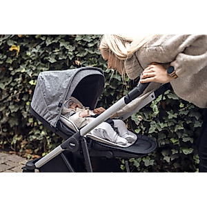 Thule Newborn Inlay