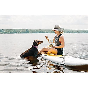 Remy’s Kitchen Sweet Potato Turmeric Freeze Dried Dog Treats USA Sourced and Small Batch Made - Human-Grade, All Natural Superfood Dog Snacks Without Artificial Preservatives, Grain Free - 3.5 oz