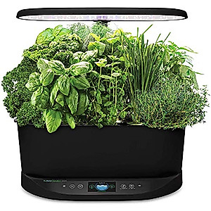AeroGarden Bounty - Indoor Garden with LED Grow Light, WiFi and Alexa Compatible, Black & Heirloom Salad Greens Seed Pod Kit (9-pod)