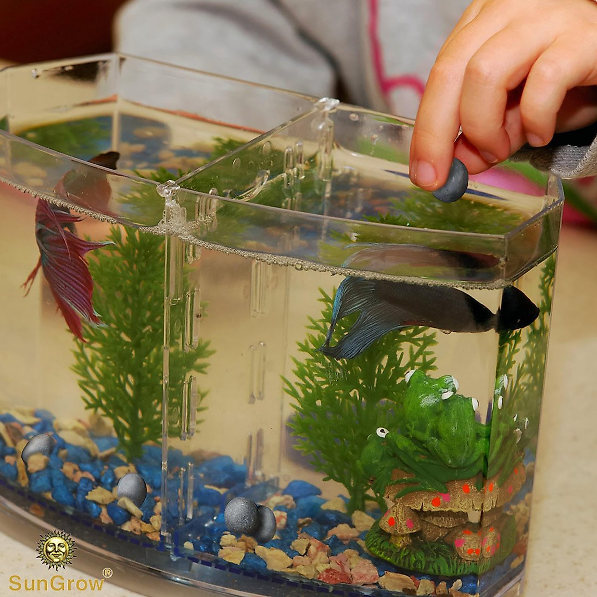 SunGrow Calcium-Rich Balls for Betta, Water Conditioner with Over 30 Beneficial Elements, Freshwater Fish Tank Decorations, 10 Pcs per Pack