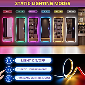 Dystler Full Length Mirror - Glass Full Body Lighted Mirror for Bedroom/Living Room/Bathroom, Hanging Dressing Mirror, Wall Mounted Mirror Dimming & 7 Color Mode (White)