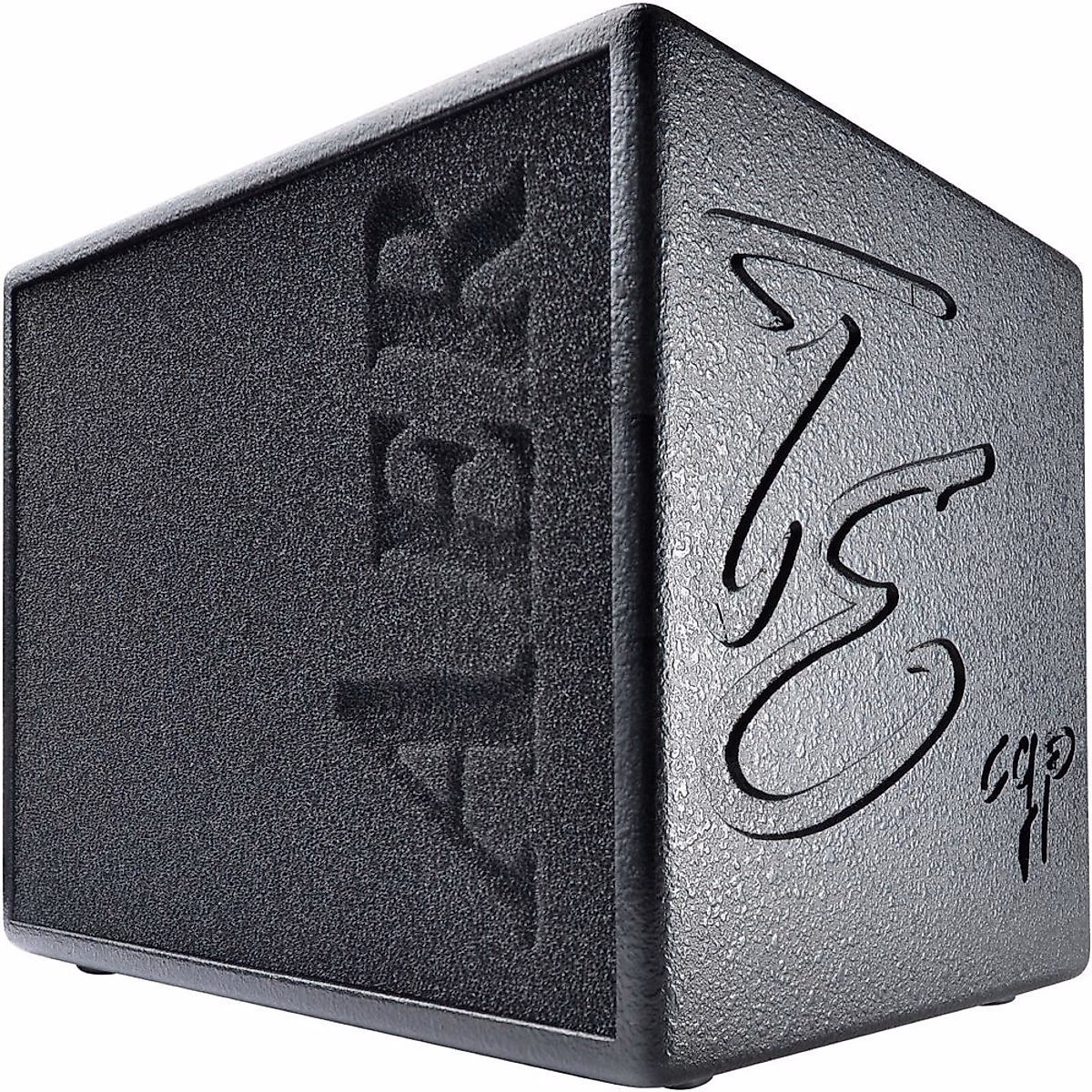 AER Tommy Emmanuel Signature Compact 60/3 60W 1x8 Acoustic Guitar Combo Amp