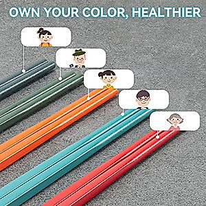 Chopsticks,LIANGKEN 5 Pairs Dishwasher Safe Fiberglass Chopsticks Set,9.5 Inch Reusable Japanese Chinese Chopsticks , Non-Slip, Easy to Use (colorful ) (9.5 inch, color)
