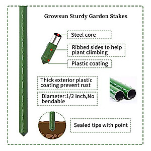 NO Splicing - 5ft Tomato Cages 5-Pack Large Tall Tomato Stakes Supports Garden Stakes,40 Clips and Plant Ties Include, Green