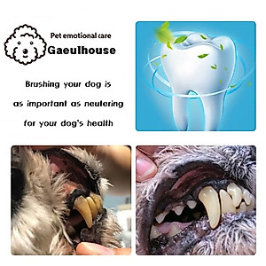 Gaeulhouse Tiny Small and Medium Dog Toothbrush Made in Korea Toothbrush Bristles That are Soft and Do Not Irritate Your Dog’s Gums Small Toothbrush Grip and Excellent Tartar Removal (4pcs)