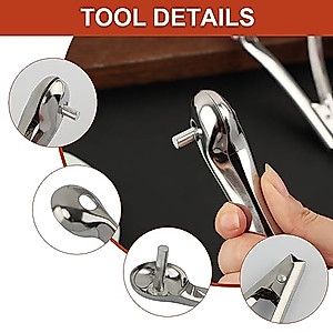 CALIDAKA Cherry Pitter Tool, 4PCS Stainless Steel Pitter Tool, Portable Cherry Remover Olives Pitter Tool, Kitchen Pitter for Cherry, Olives, Hawthorn, Red Date