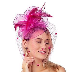 FELIZHOUSE Kentucky Derby Fascinators for Women Girls Tea Party Hats Cocktail Flower Veil Feathers Headband with Hair Clip
