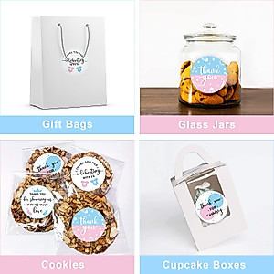 80 Pink Blue Thank You Stickers, Baby Shower Thank You Stickers Gender Neutral, Team Pink Team Blue Gender Reveal Party Favor Label Decorations(2 Inch)