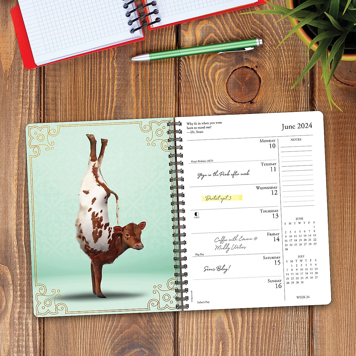 Animal Yoga 2024 Calendar