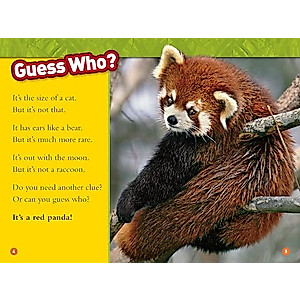 Red Pandas (National Geographic Kids Readers, Level 1)