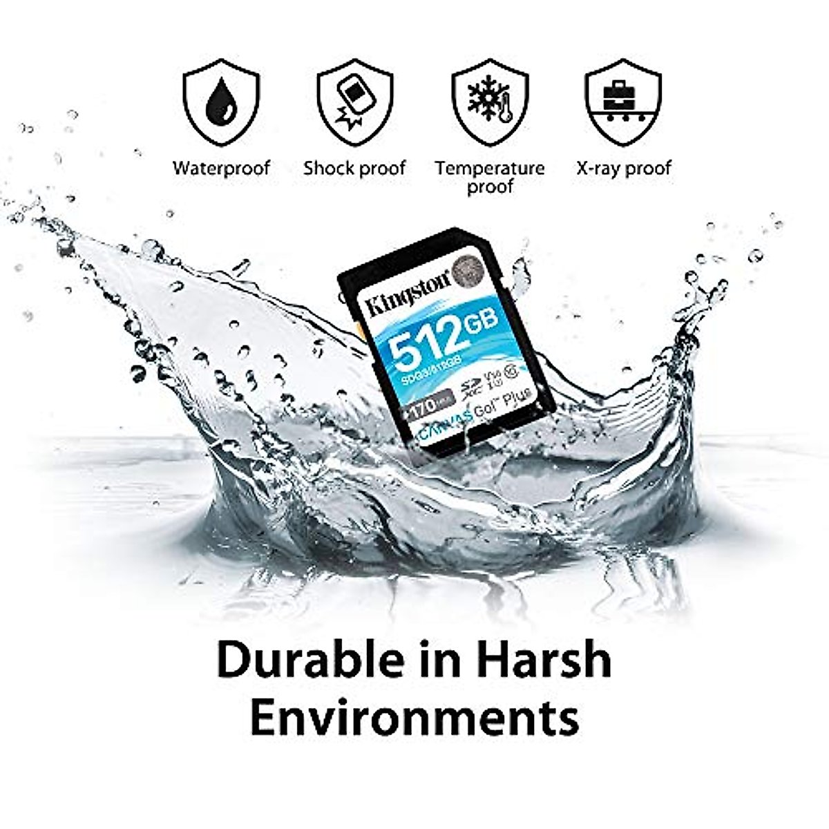 Kingston 256GB SDXC Canvas Go Plus 170MB/s Read UHS-I, C10, U3, V30 Memory Card (SDG3/256GB)