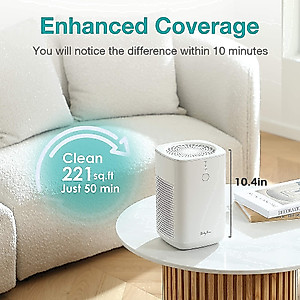 Combo Pack of RedyPure JR6 Desktop Air Purifier and Replacement Filters, H13 True HEPA, and Activated Carbon Air Filters