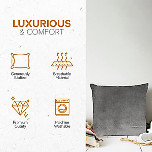 Cheer Collection Microsherpa Throw Pillow Set of 2 for Couch, Beds, Bedroom and Living Room - Ultra Soft and Fluffy, Elegant Home Decor, Velvet Stylish Accent Pillows - 18" x 18", Gray