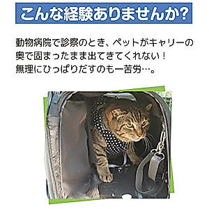 Van Ness Calm Carrier (for Cats Up to 20 Lbs.)