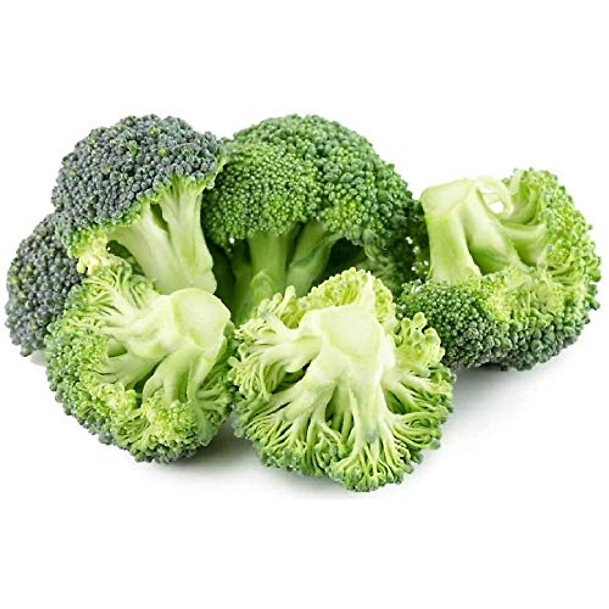 David's Garden Seeds Broccoli De Cicco FBA-8149 (Green) 100 Non-GMO, Heirloom Seeds