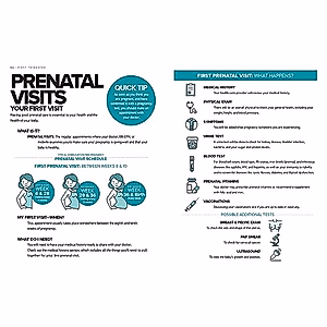 The Simplest Pregnancy Book in the World: The Illustrated, Grab-and-Do Guide for a Healthy, Happy Pregnancy and Childbirth