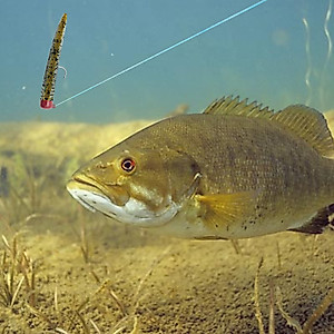 JIGITY - Ned Rig Baits | 10 Pack Uncle Ned 3" Soft Plastic Worms | Finesse Style Bait Largemouth Smallmouth Multispecies Crappie Bluegill Bass Fishing Gear (3", Black Blue FLK)