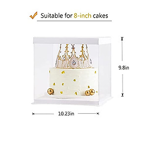 XININSUN 2Pcs Large Cake PET Clear Box, 10" X 10" X 9" with ribbon and pre-folded lid, for 8" cake packing carry, baking cookie display, Carry Tall Layer Gift, Festive Gift Box -White