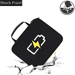 FCDYLBD Battery Organizer Case- Hard Storage Box Bag Holder - Holds 60+ Batteries AA AAA C D 9V Tester BT-168 (Batteries are Not Included)