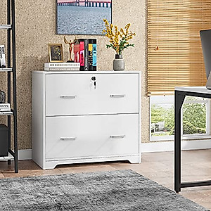 LITTLE TREE Lateral File Cabinet with 2 Drawers, 31.5 Inches Large Filing Cabinet for Hanging Letter/Legal/F4/A4 Size Files with Lock, Home Office, White