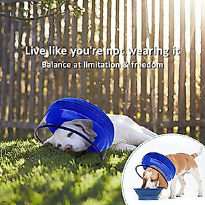 Zeaxuie Soft Inflatable Dog Cone Collar for Dogs After Surgery with Enhanced Anti-Licking for Unrestricted in Daily Life, Pack of One, Blue (Size 6)