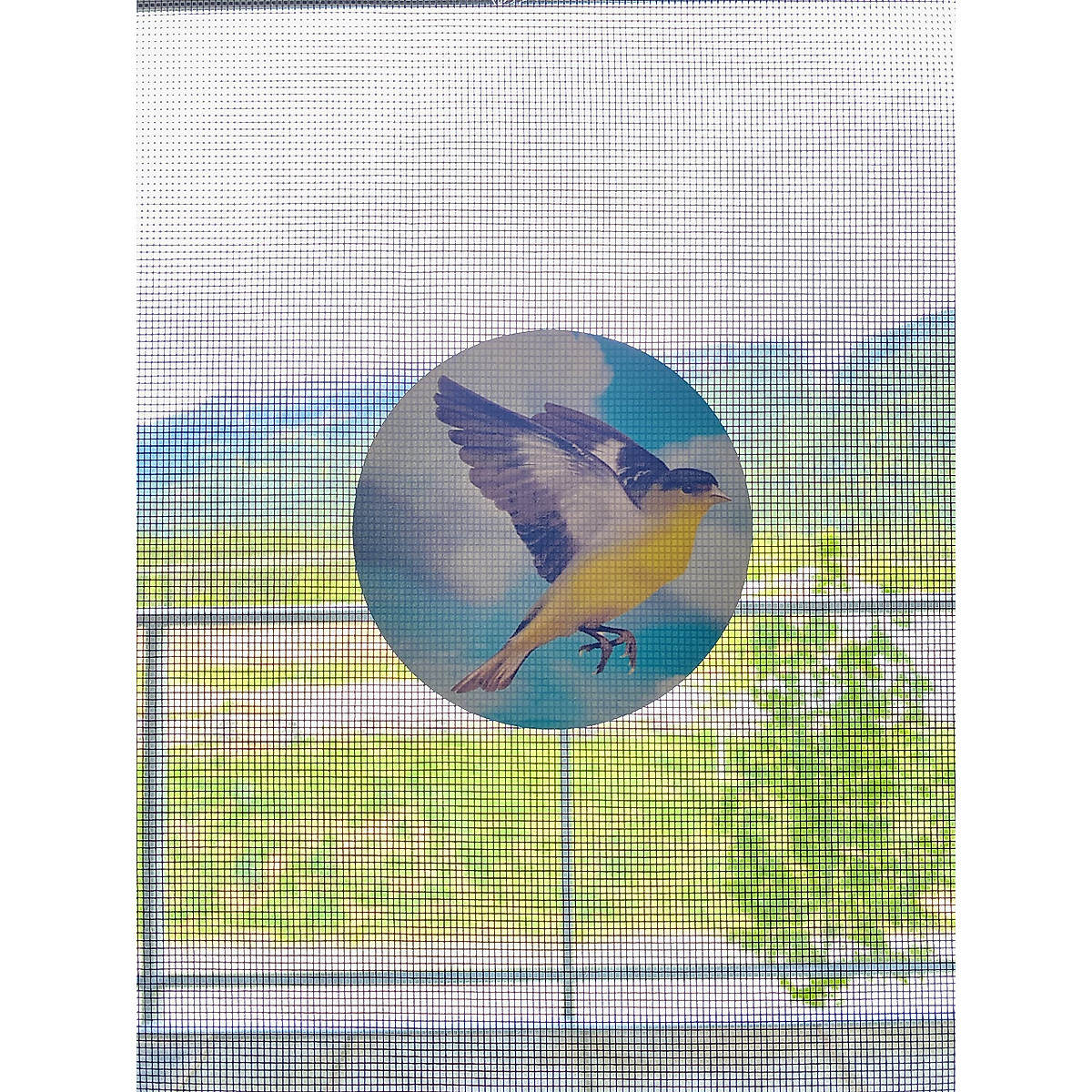 Retractable Screen Door Decals (Stickers) - 6 per Package - Keep Children Safe - Alert Birds, Dogs, Kids - Warn, Protect, Window Safety - Birds