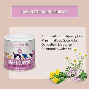 Hilton Herbs Canine Digest Support Supplement for Dogs, 4.4 oz Tub