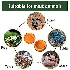 2 Pack Reptile Food Bowls Mini Ceramic Water Feeder Bowl Anti-Escape Mini Reptile Feeder for Lizard Anoles Bearded Dragons Crested Gecko Hermit Crabs