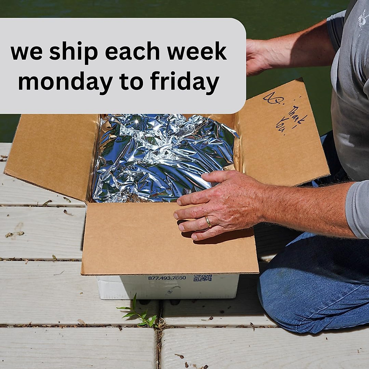 Cardinal Tetra Live Fish (8 Fish Pack) Small Size - Live Fish for Aquarium Exotic Freshwater Live Fish, Live Aquarium Fish, Live Fish, Live Freshwater Fish - Freshwater Fish Live Buy Live Fish