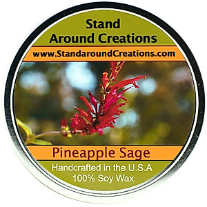 Stand Around Creations Soy Aromatherapy Candle - Scent: Apple Fragrance 16oz White