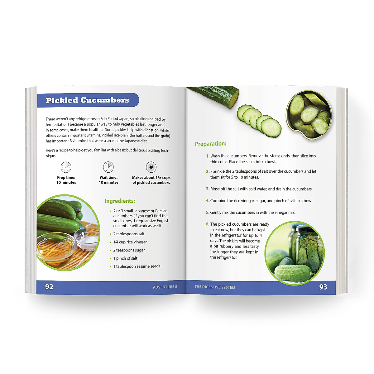 Know Yourself - The Digestive System: Adventure 5, Human Anatomy for Kids, Best Interactive Activity Workbook to Teach How Your Body Works, STEM & STEAM, Ages 8-12 (Systems of the Body)